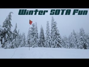 Callsign Database - QRZ.com